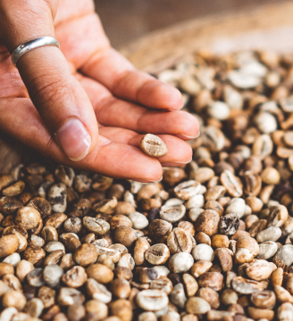 Bean Hop Coffee Roastery